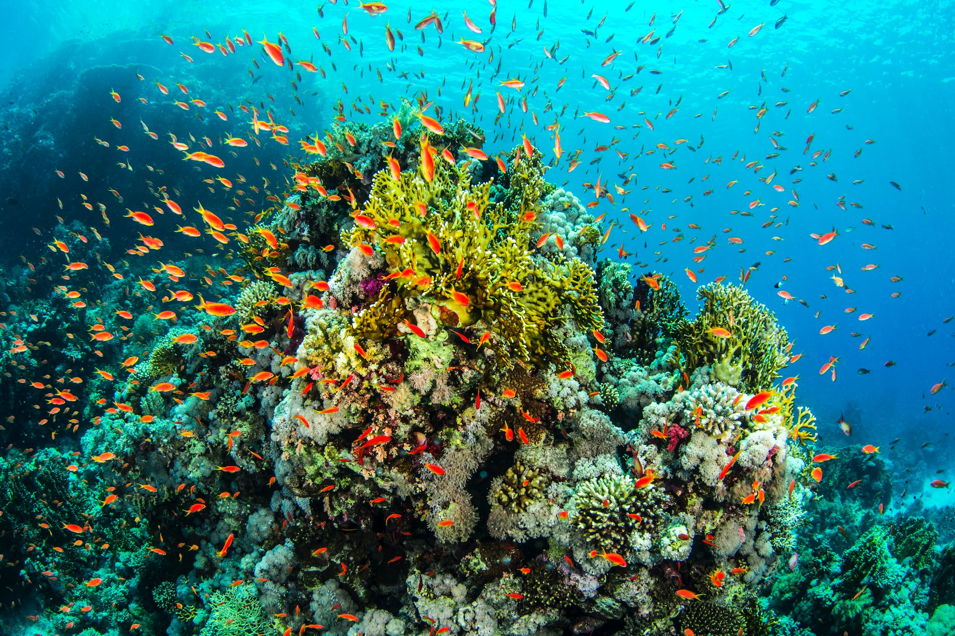 10 Bucket-List Worthy Travel Experiences - Lyfescape.com